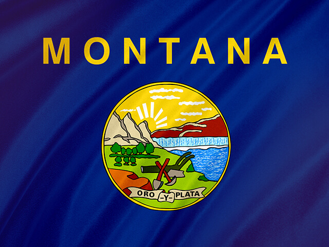How to Get a Dealer License in Montana | Montana Car Dealer License | ACV Auctions